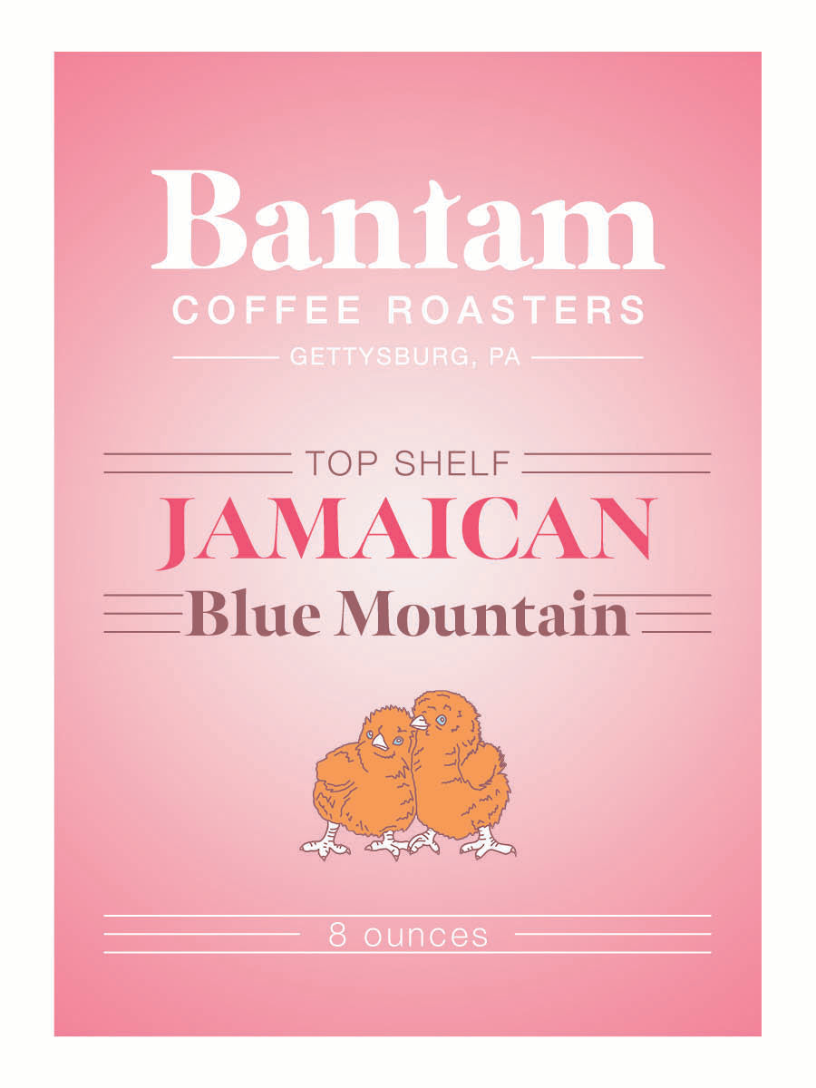 Jamaican Blue Mountain - 8 OZ – Bantam Coffee Roasters